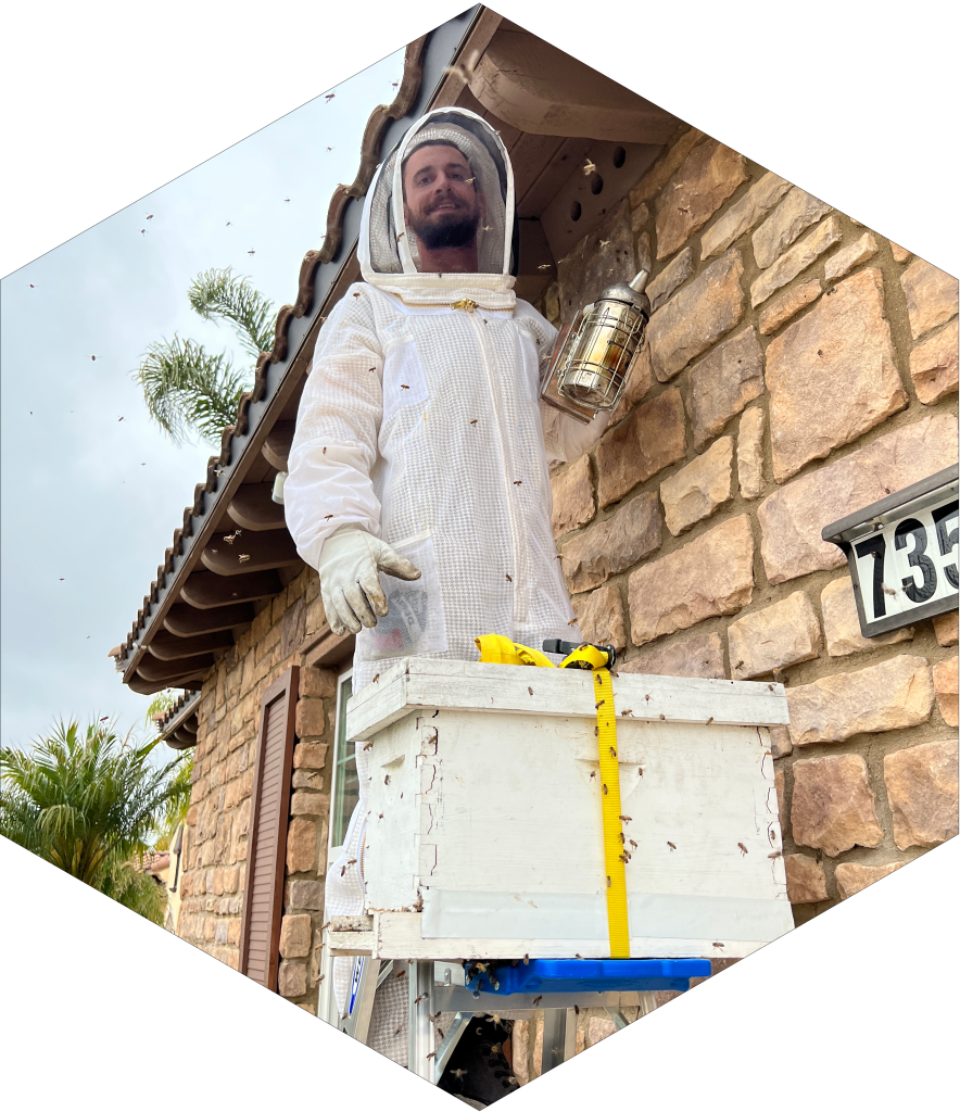 San Diego Bee Sanctuary – "Facilitating harmony between bees and humans."