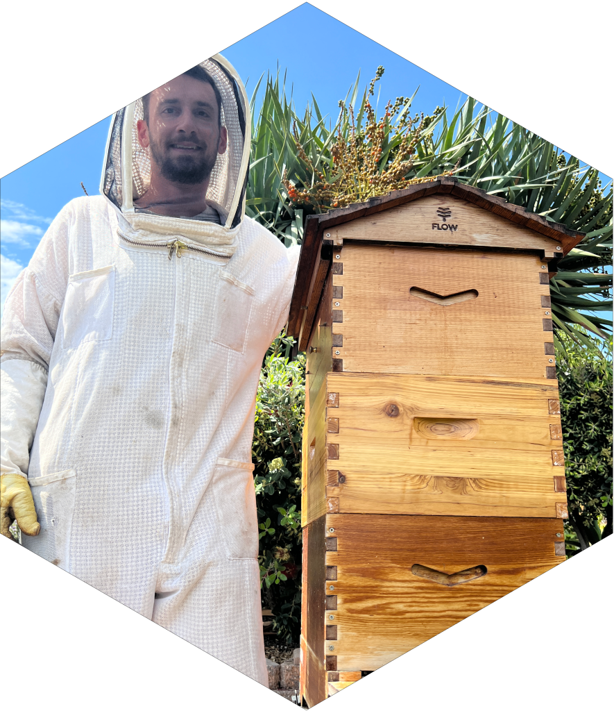 San Diego Bee Sanctuary – "Facilitating harmony between bees and humans."