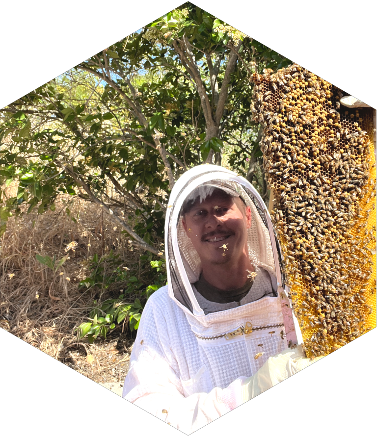 San Diego Bee Sanctuary – "Facilitating harmony between bees and humans."