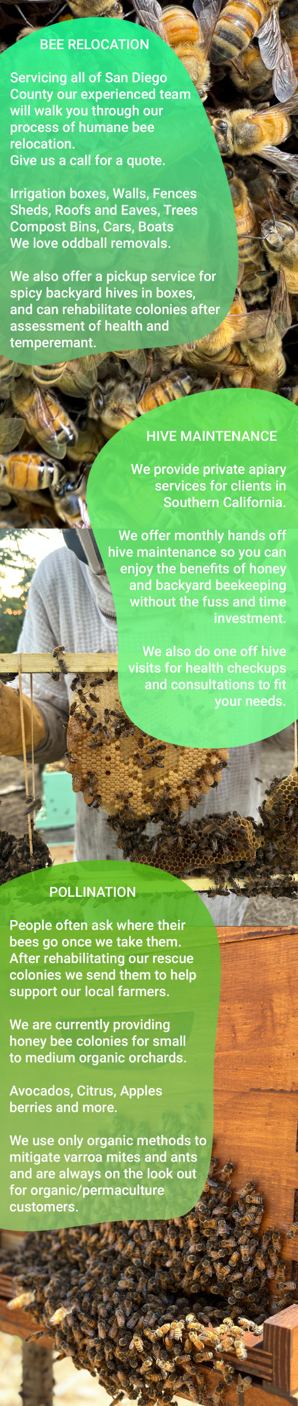 San Diego Bee Sanctuary – "Facilitating harmony between bees and humans."